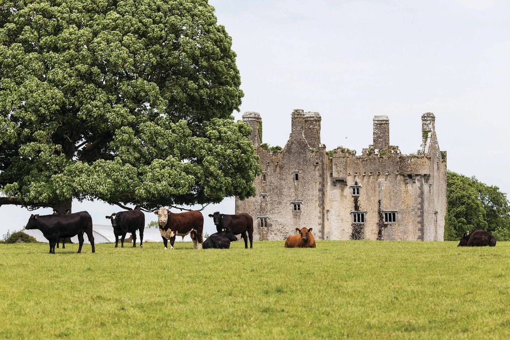 Castle for sale in Ballingarry, Munster - 115120665 - LuxuryEstate.com