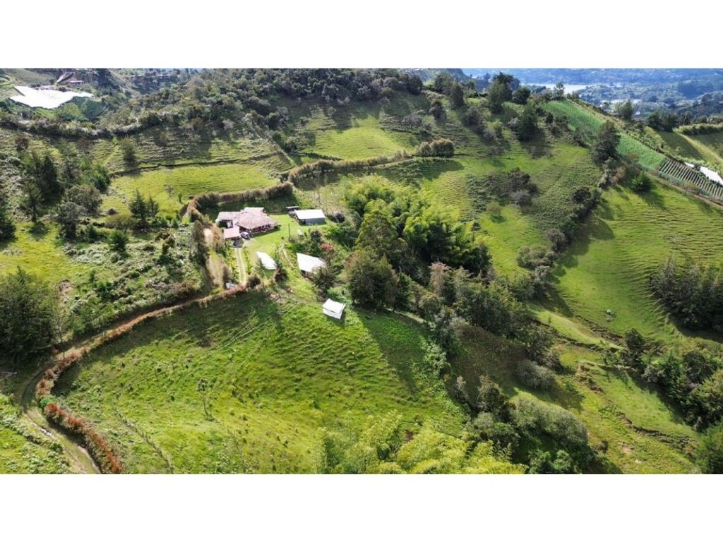 Prestigieuse propriété de Campagne en vente à El Peñol, Colombie ...