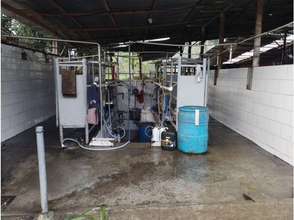 Exclusive farmhouse for sale in Calarcá, Colombia - 128606655 ...