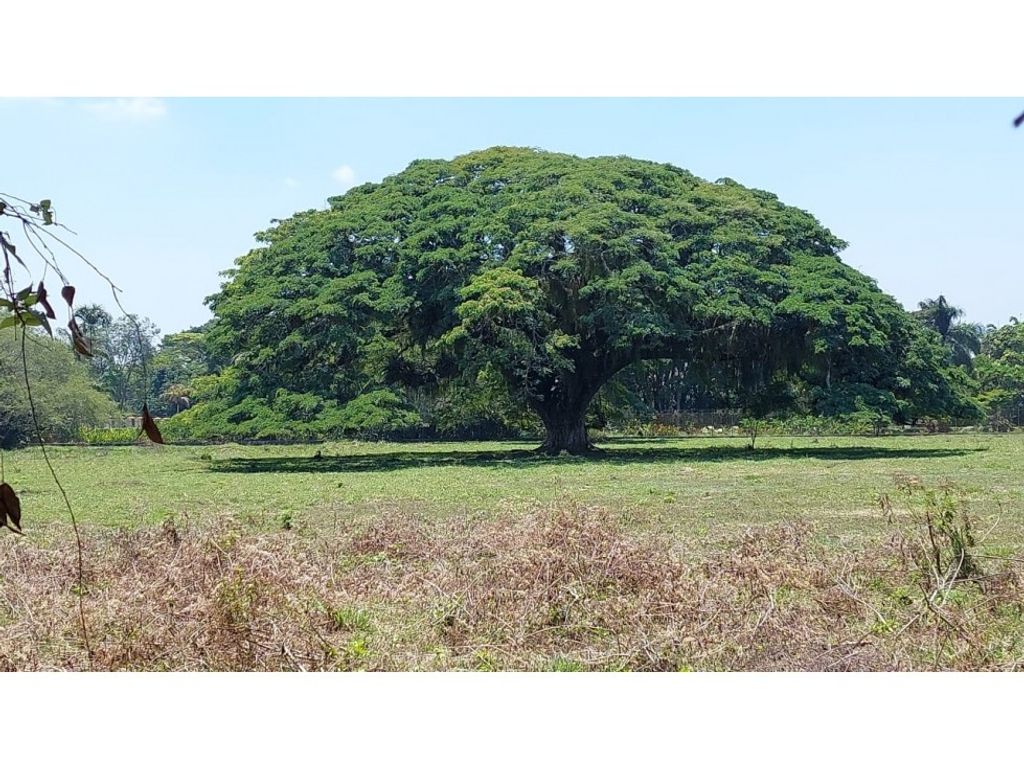 Terreno - Cali, Departamento del Valle del Cauca - 131094964 - LuxuryEstate.com