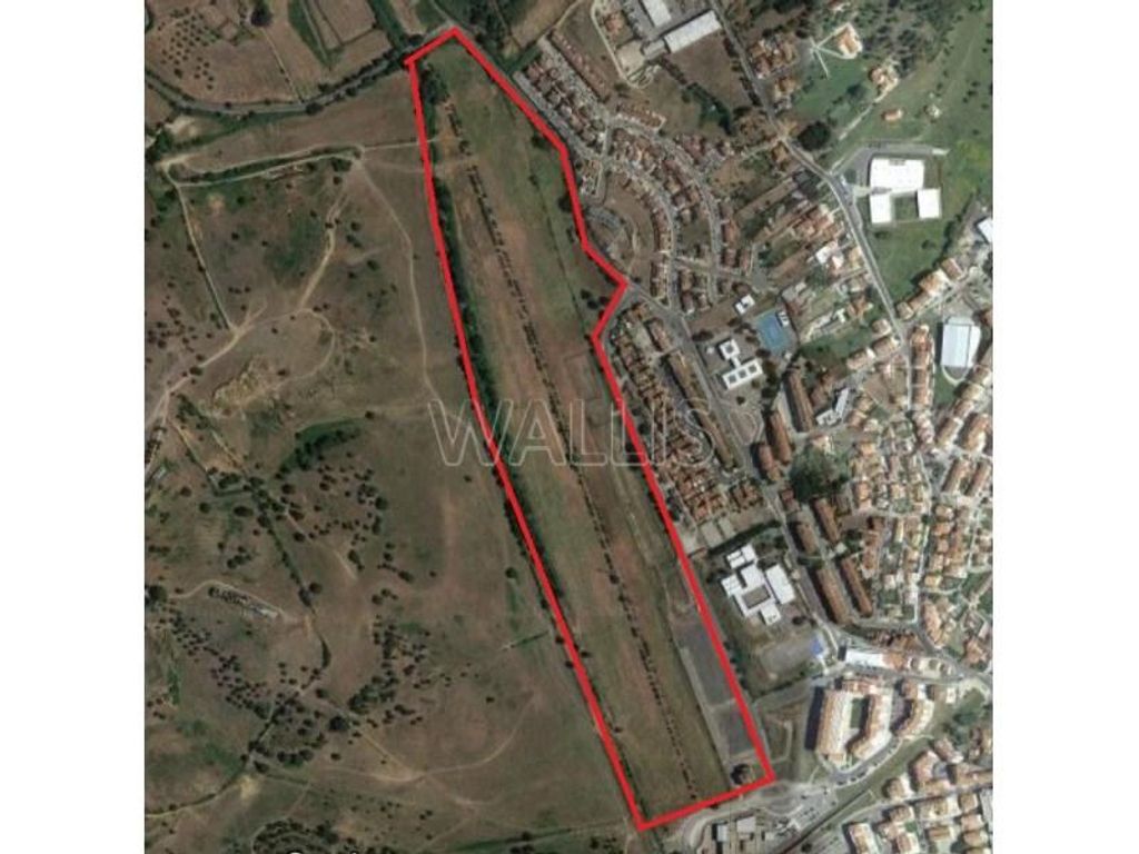 Development Land in Azambuja, Lisbon - 123970605 - LuxuryEstate.com