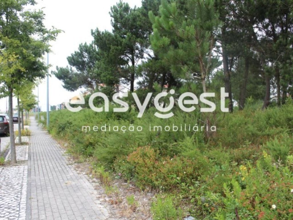 Marinha Grande, Distrito de Leiria, 6247 m2 Arazi - 128898403 ...
