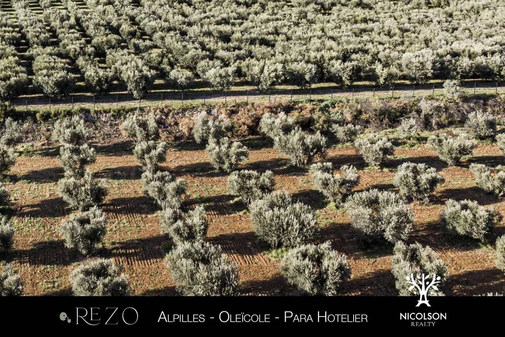 Maison de campagne de luxe de 1400 m2 en vente Saint-Rémy-de-Provence ...