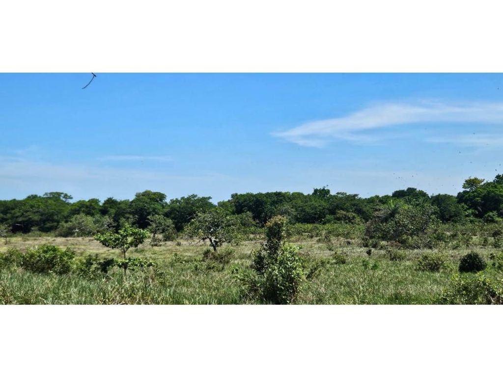 Ferme exclusive de 82000 m2 en vente Dolega District, Provincia de ...