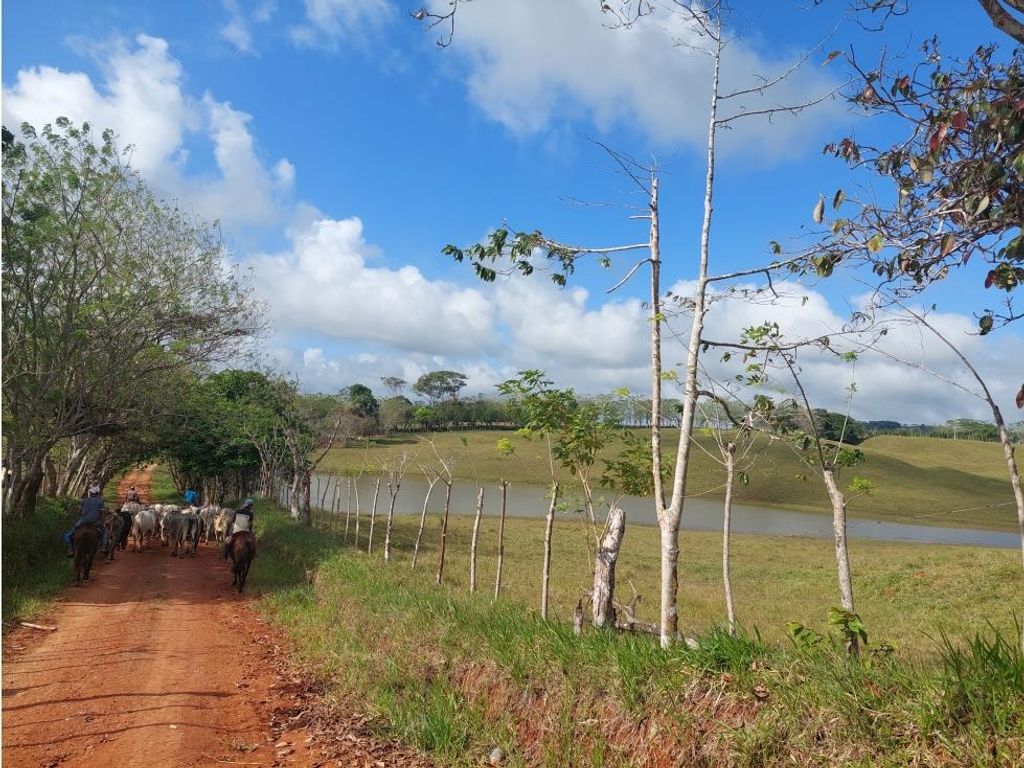 Exclusive farmhouse for sale in La Chorrera, Panamá Oeste - 130037404 ...
