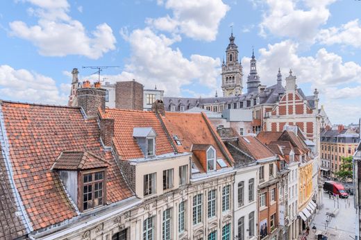 Lille: Villas and Luxury Homes for sale - Prestigious Properties in ...