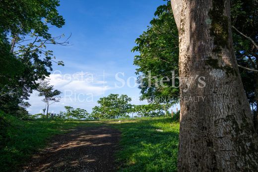 Terreno / Solar en venta - Nosara, Provincia de Guanacaste - 131744749 ...