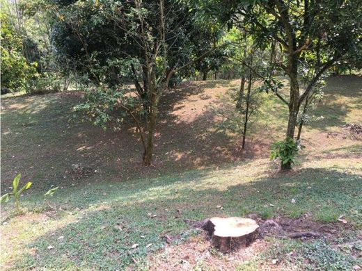 Terreno de 72320 m2 à venda - Amagá, Colômbia - 132698338 ...