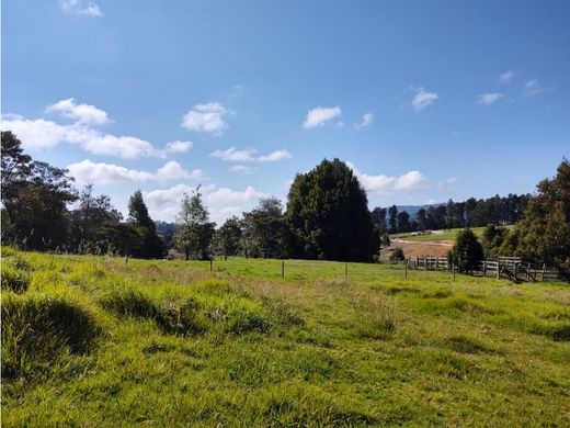 Land Available in Envigado, Colombia - 132698524 - LuxuryEstate.com