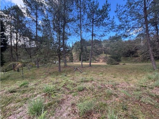 Terreno - Envigado, Departamento de Antioquia - 132697422 ...