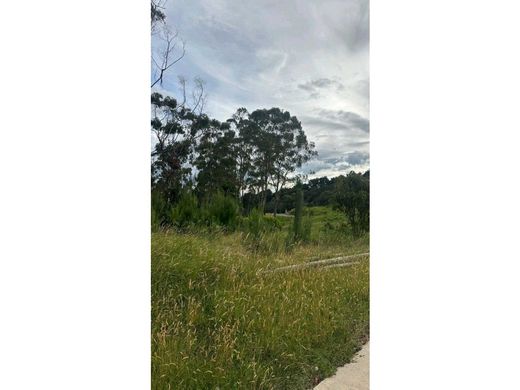 Development Land in Envigado, Colombia - 132698422 - LuxuryEstate.com