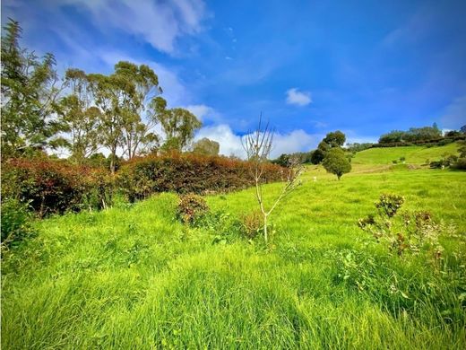 Terreno in vendita - Envigado, Departamento de Antioquia - 132698520 ...