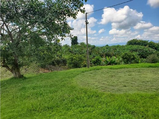 Cortijo de alto standing de 76800 m2 en venta Quimbaya, Quindío ...
