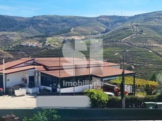 Finca en venta - Ervedosa do Douro, Portugal - 132703237 - LuxuryEstate.com