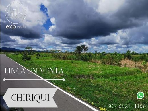 Luxury Homes for sale in the district of Distrito de Barú - Prestigious ...